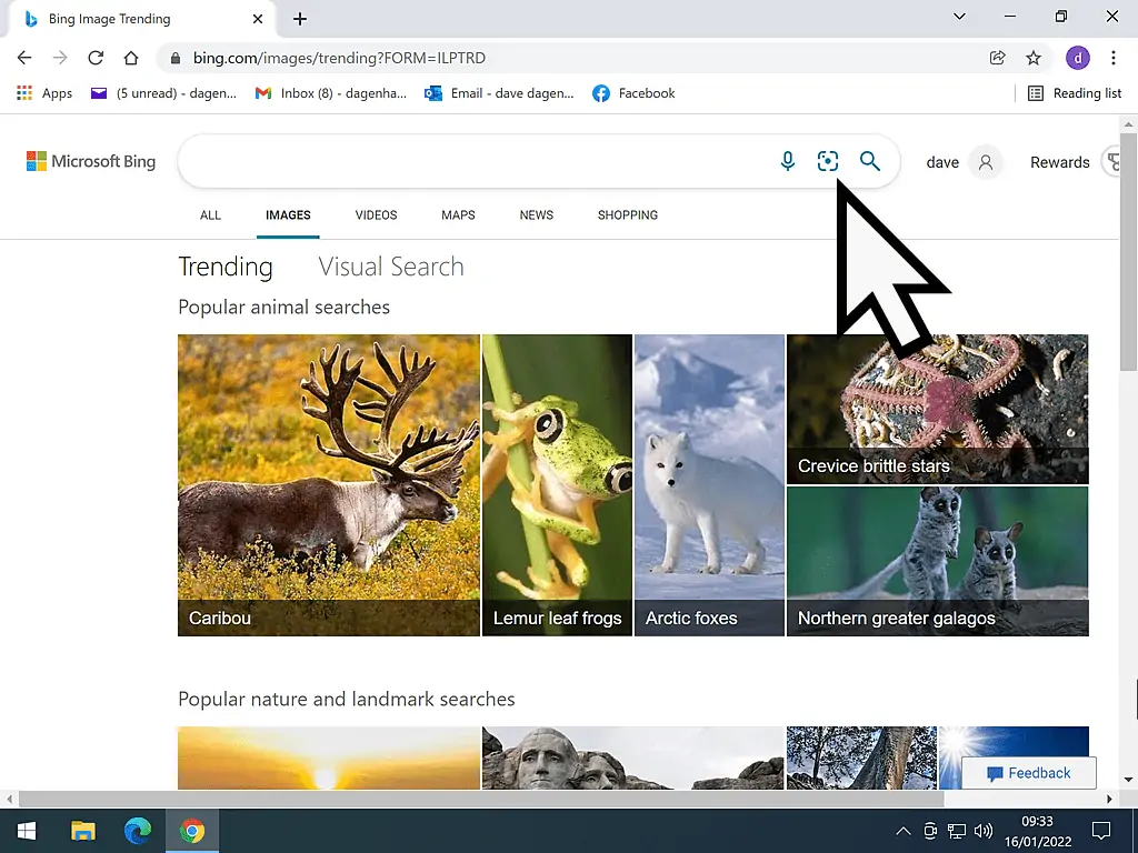 How To Do A Reverse Image Search - At Home Computer