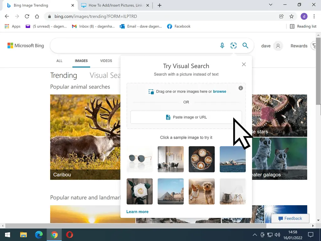 How To Do A Reverse Image Search - At Home Computer